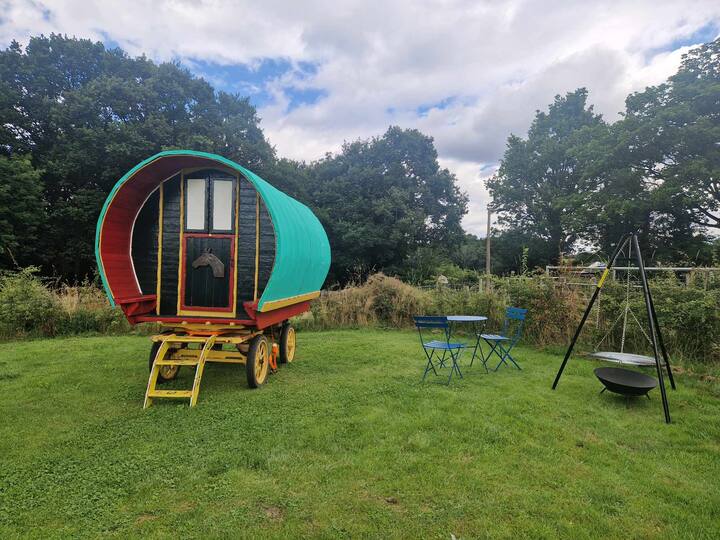 The Bowtop - Barnsley