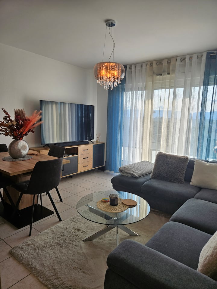 Charmant Appartement Moderne - Annemasse