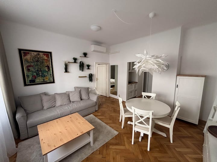 Trina Apartment In The City Centre - Ljubljana