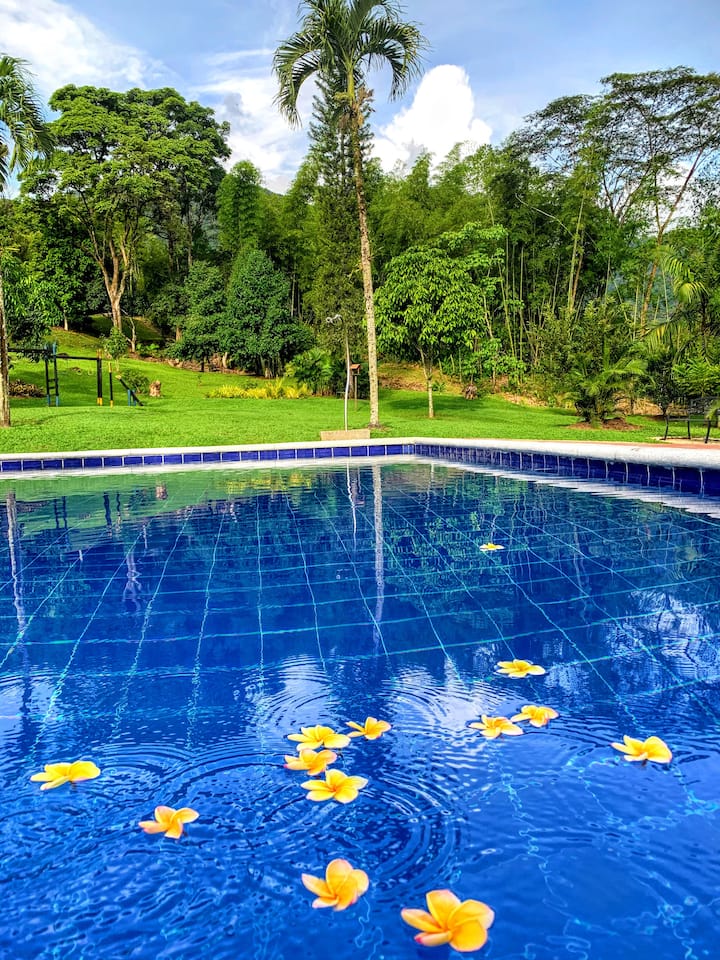 Finca Con Espetacular Kiosko Y Gran Piscina - Amagá