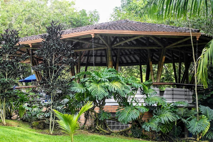 Gran Finca Rodeada De Verde - Amaga