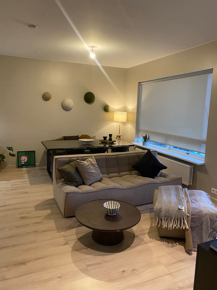 Cozy One Bedroom Apartment - Iceland