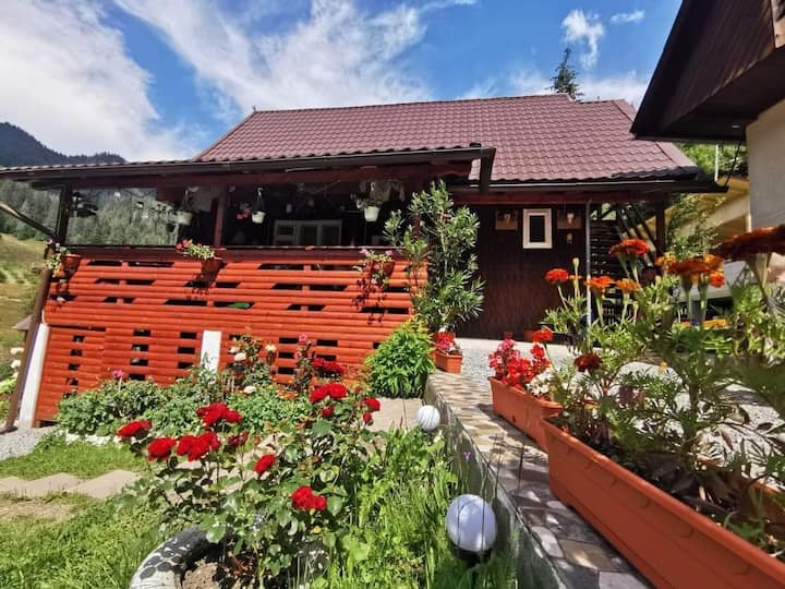 Casa Brazilor - Arieșeni