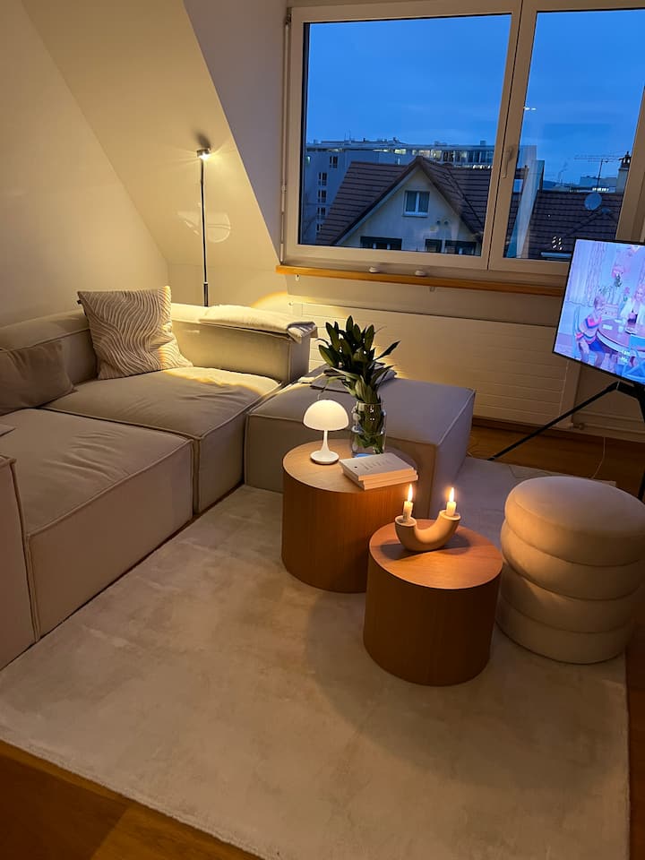 Cozy, Bright Apartment In City - Zürich