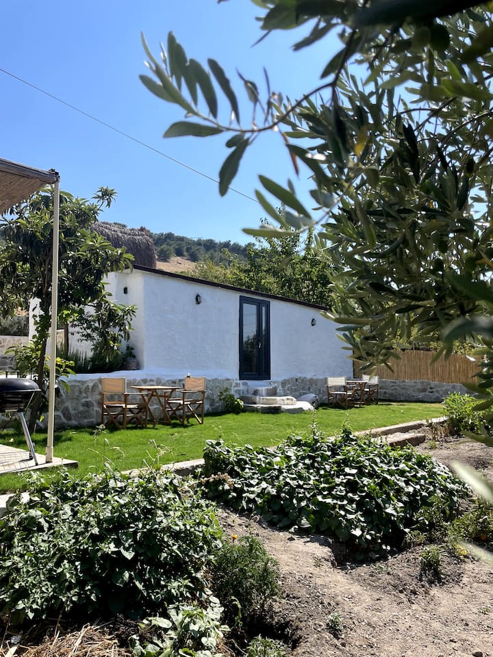 Ala House - Barbaros