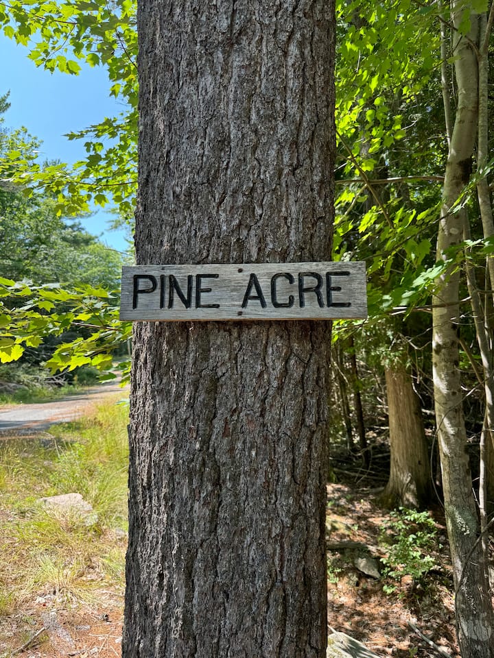 Pine Acre - Bar Harbor