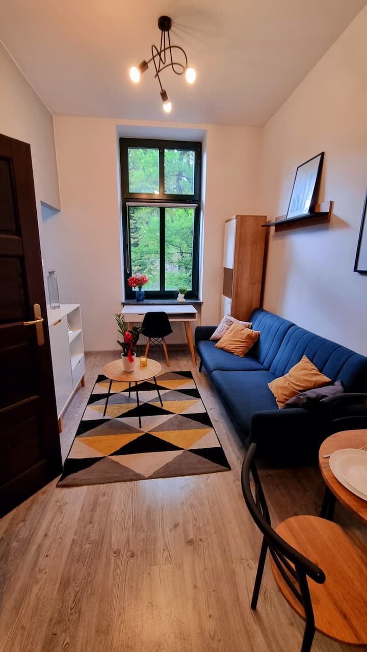 Cosy Mini Apartment- City Centre - Katowice
