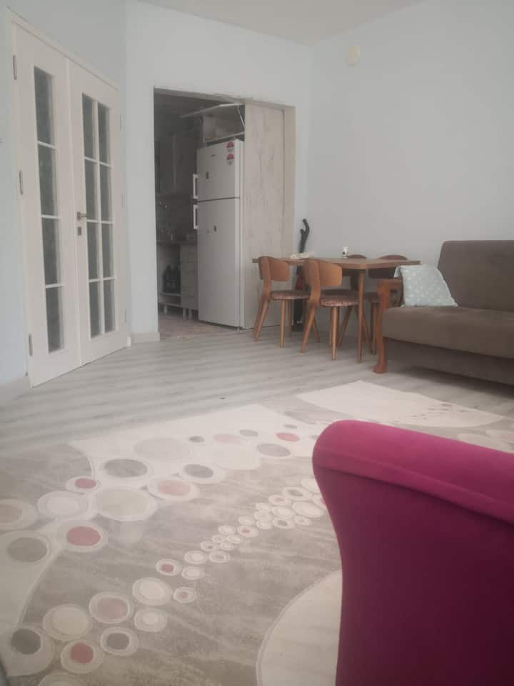 Komple Yenilenmiş Büyük Villa - Silifke