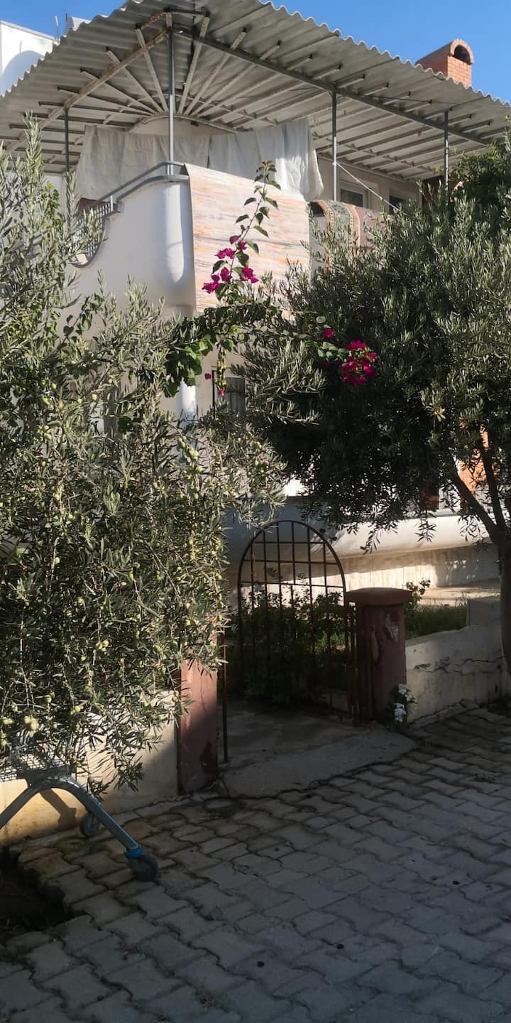 Komple Yenilenmiş Büyük Villa - Silifke