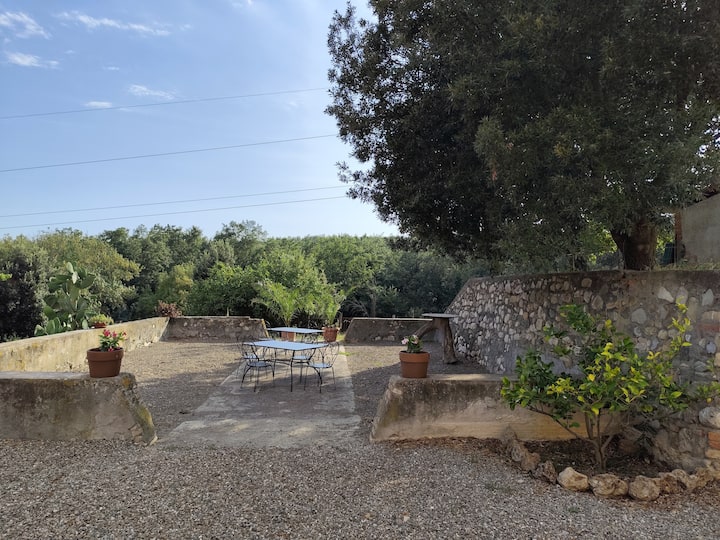 Agri Campo Alla Cantina Appartamento "Ginestra" - Gavorrano