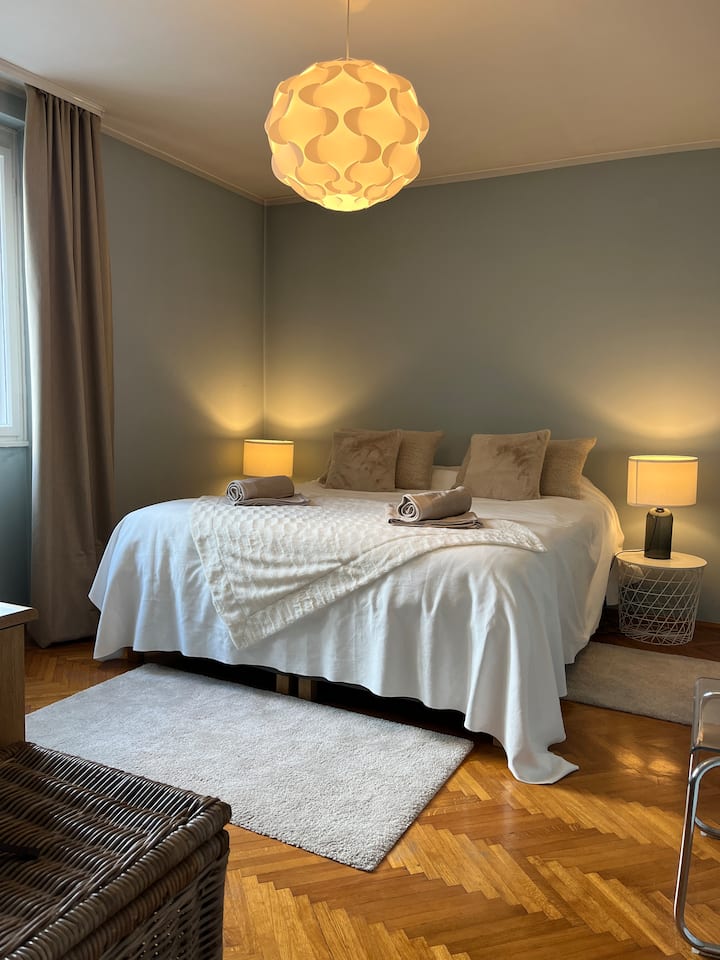 Cozy Apartment Central Belgrade - Serbia