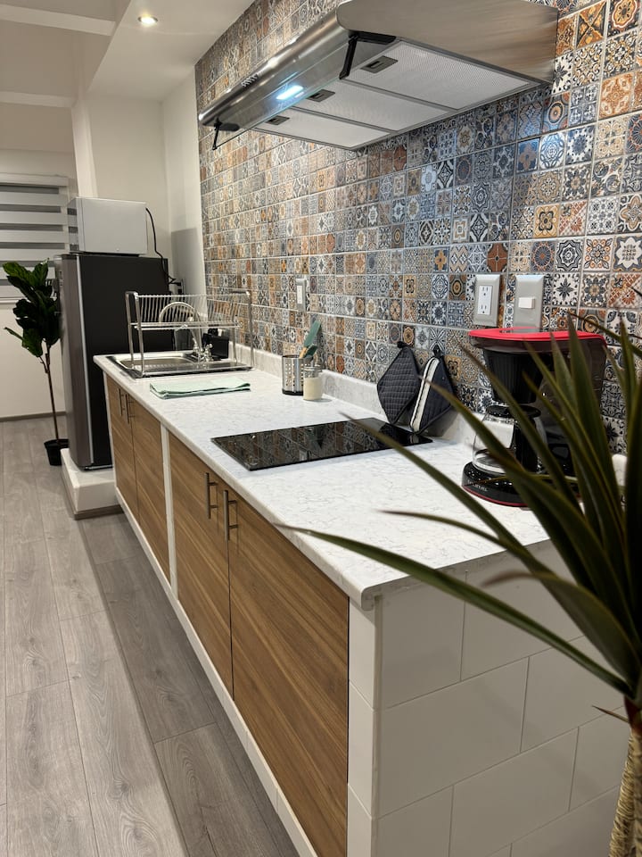 (203) Centric Modern 2 Bedroom (203) - Mexico City