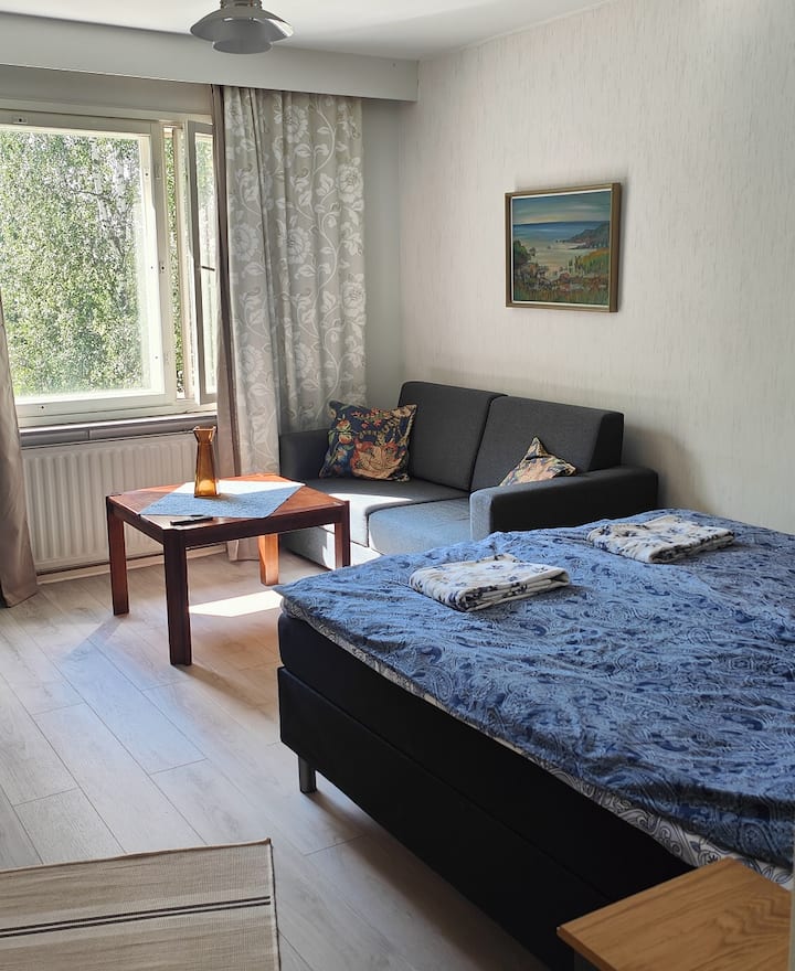 Kodikas Yksiö Järvinäköalalla - Tampere