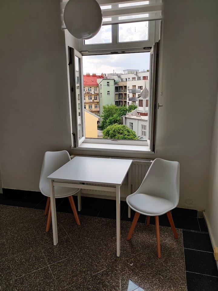 ŽIžkov Room: Near City Center - Prague