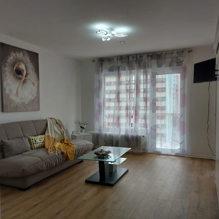 Studio Touristique Rénové - Strasbourg