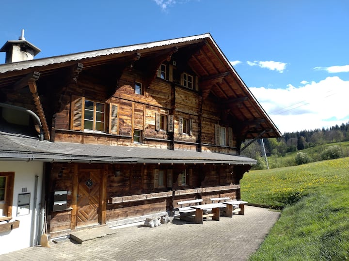 Dachwohnung An Ruhiger Lage - Flims