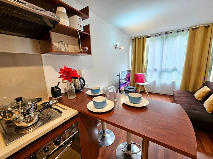 Depto. Pasos Metro La Moneda - Santiago