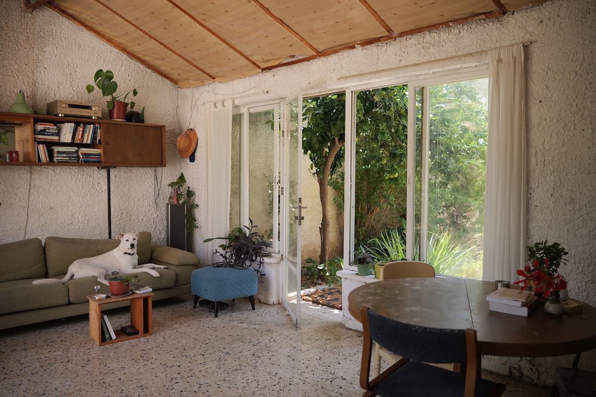 Private house with huge Garden By the Beach - Houses for Rent in Tel ...