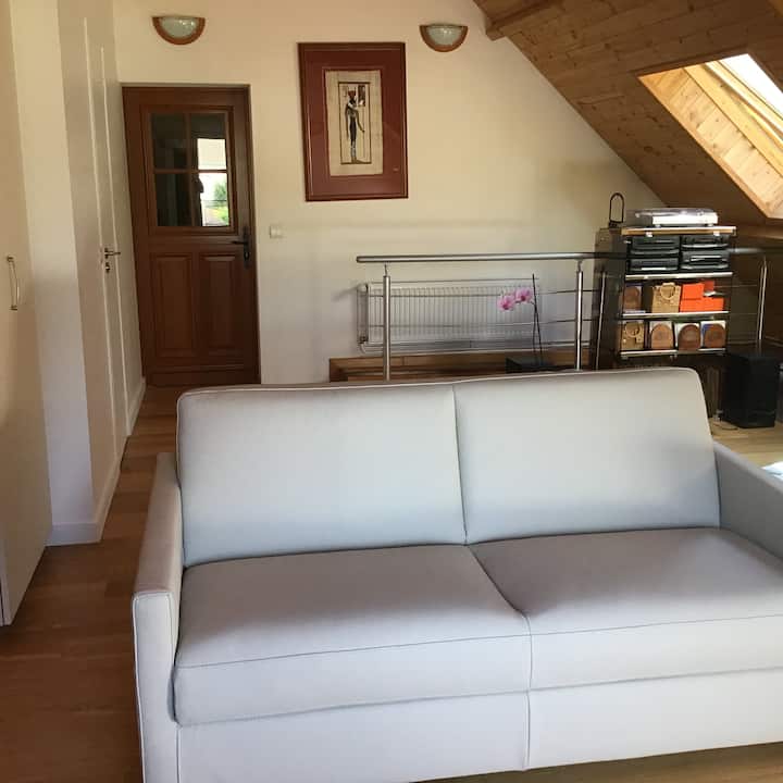 Chambre Indépendante - Chevreuse