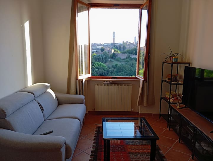 Vista Unica Su Skyline Di Siena - Sienne