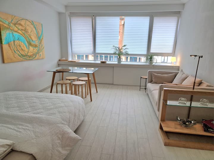 Bright & Spacious Studio In Ixelles – Ulb Flagey - Jette