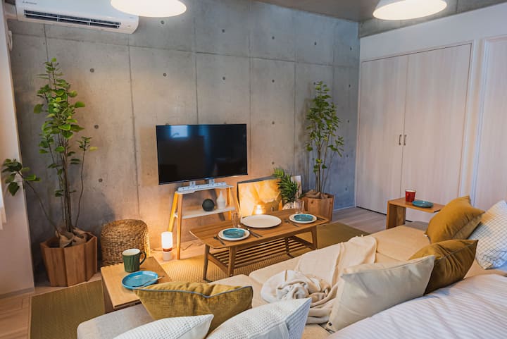 B2: Modern Home For Familiy, Explore True Asakusa - Akihabara
