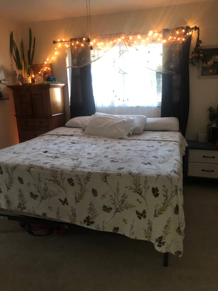 Aloha, From The Comfy Venice! - Venice Beach, FL