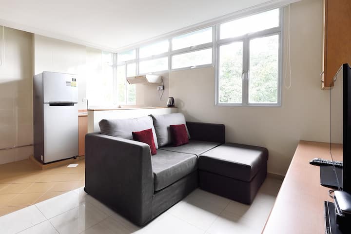 Cosy 2 Bedroom Service Apartment - Singapour