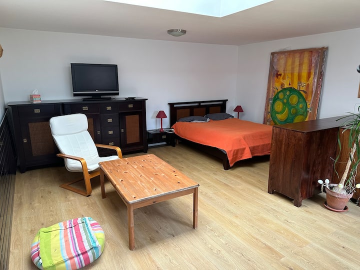 Appartement Une Grande Chambre Avec Jardin - Chatou