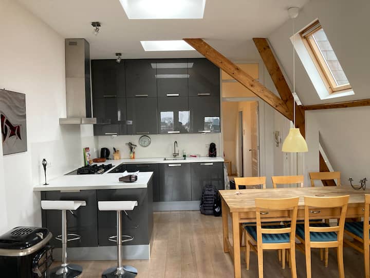 Spacious Apartment - Historical Center - Scheveningen