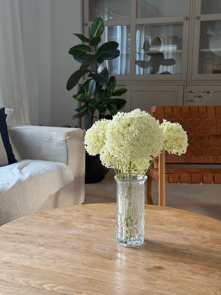 Hus Nära Hav, Malmö, Köpenhamn - Malmö