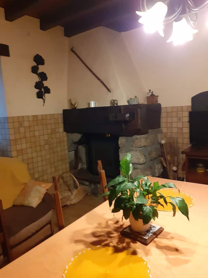 Logement Dans Une Maison Basque - Bidarray