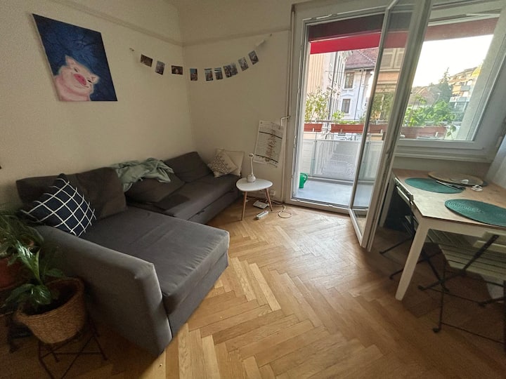 Appartement Vue Sur Le Lac - Lausana