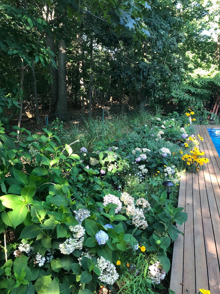 Private En-suite W/ Own Entrace. - East Hampton, NY