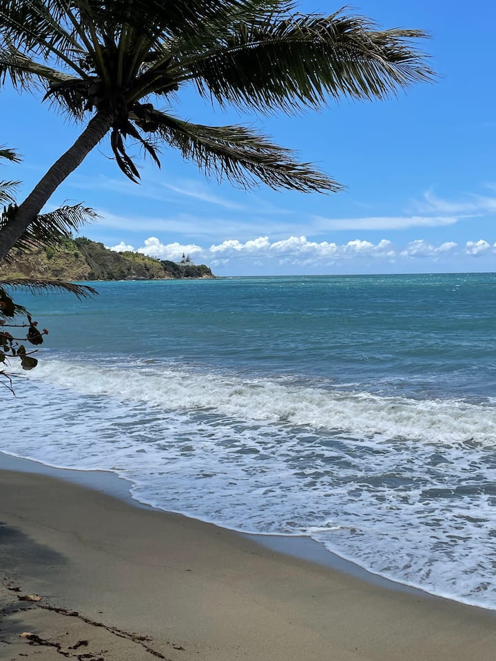 Apt With Ocean Views In Maunabo - Maunabo