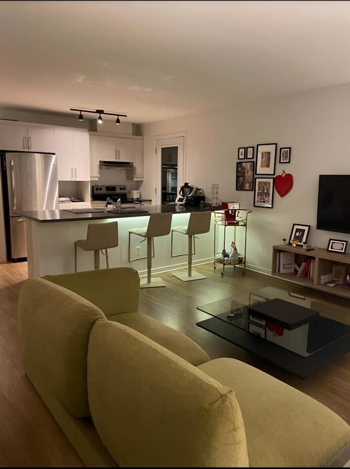 Charming 41/2 Apartment In Dix30 - Brossard