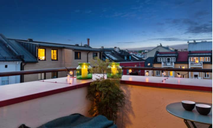 Rooftop Apartment With Balcony - Oslo
