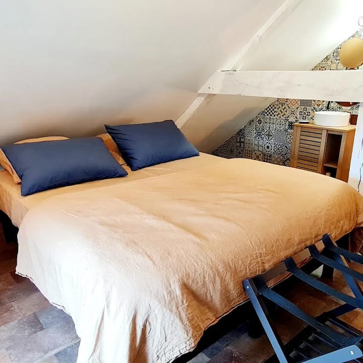 Maison D'hôtes En Sologne 14 Personnes - Lamotte-Beuvron