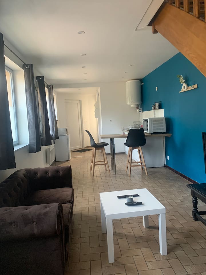 Sev F1 Duplex Proche Des Commerces - Luxeuil-les-Bains