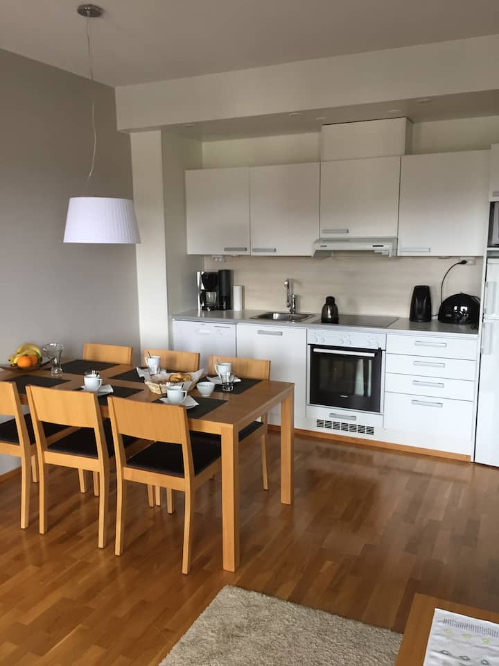 Hyvinvarusteltu Loma-asunto - Ruka