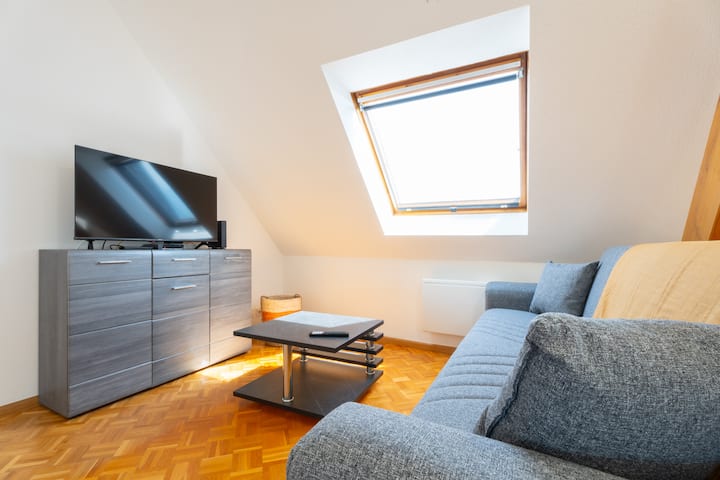 Super Appartement Near Basel Parking Gratuit Blotz - Blotzheim