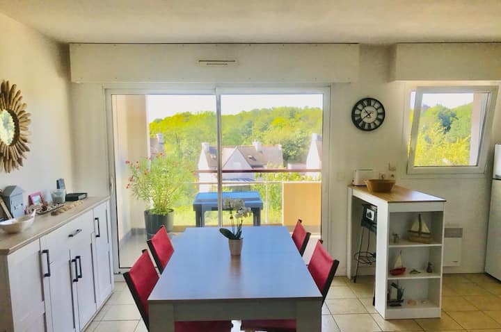 Proche Port St Goustan - Terrasse - Garage - Auray