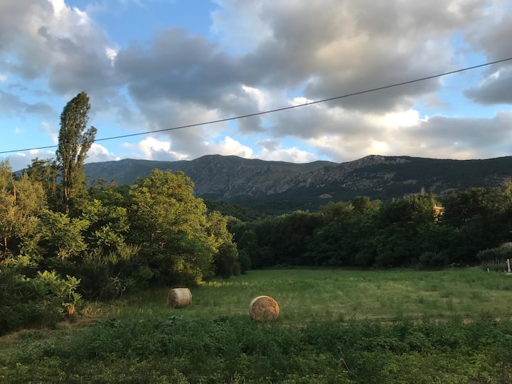 Forconium Torna Alla Natura - L’Aquila