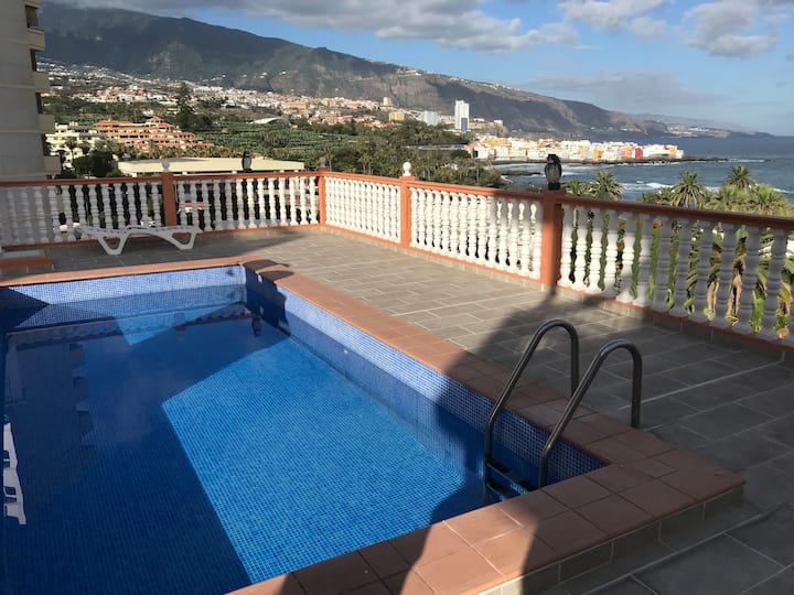 Studio View - Puerto De La Cruz - Puerto de la Cruz
