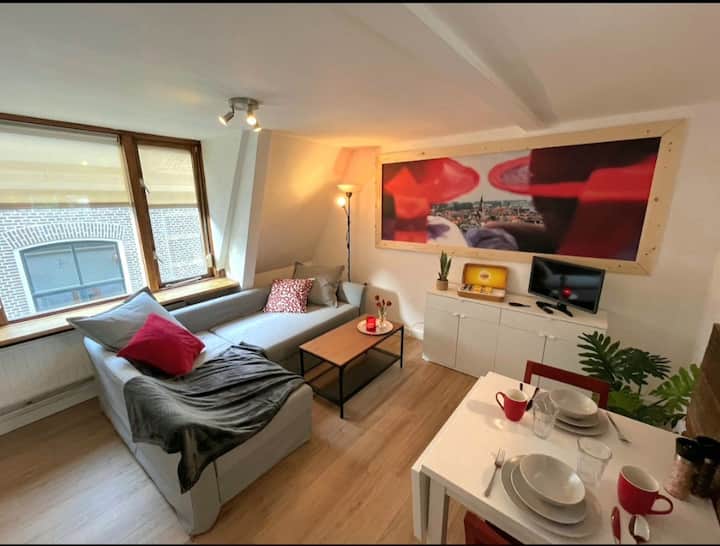 Red Cheese Appartement Alkmaar - Alkmaar