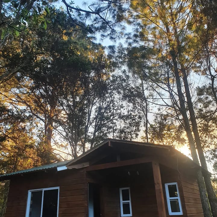 Cabaña Eco-pinares - Intibucá