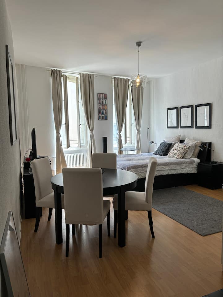 Studio Vieille Ville De Genève - Geneve