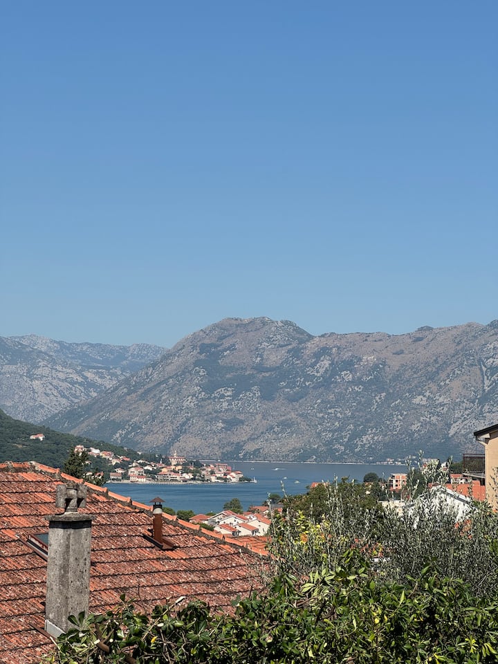 Gold Hill Apartment 1 - Kotor