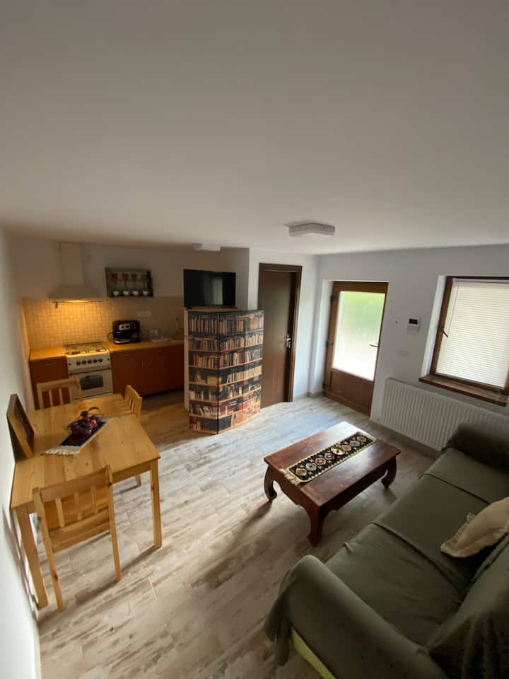 Apartament Cu Terasa Verde - Timișoara