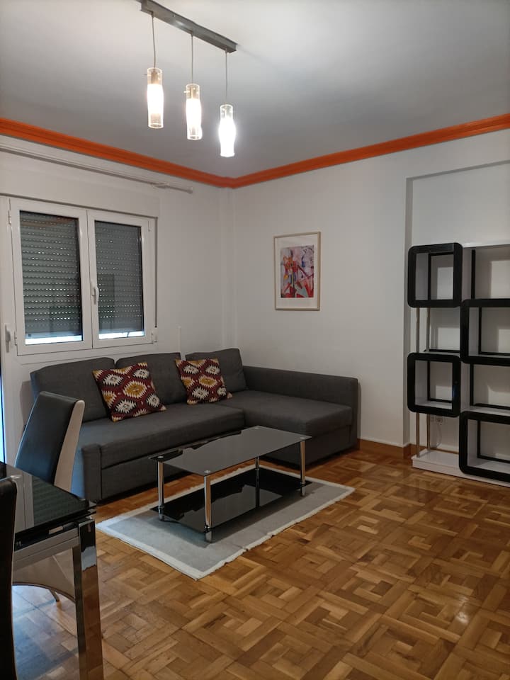 Tranquilo Y Cómodo Apartamento. - Pampelune
